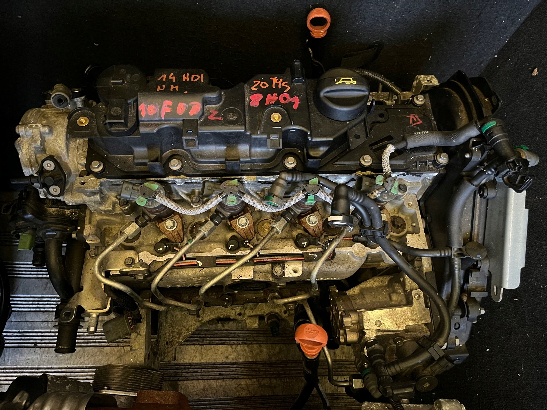 PEUGEOT CITROEN SILNIK KOMPLETNY 8H01 1.4 E-HDI PRZEBIEG 20000 KM za ...