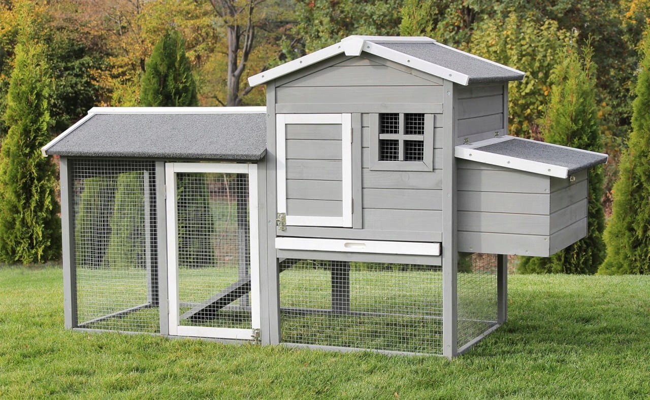 My Animal - Niska cena na Allegro