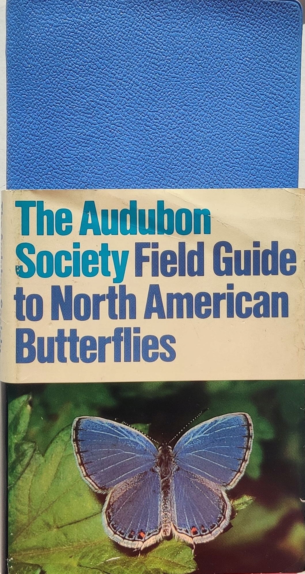 Field Guide - Niska cena na Allegro.pl