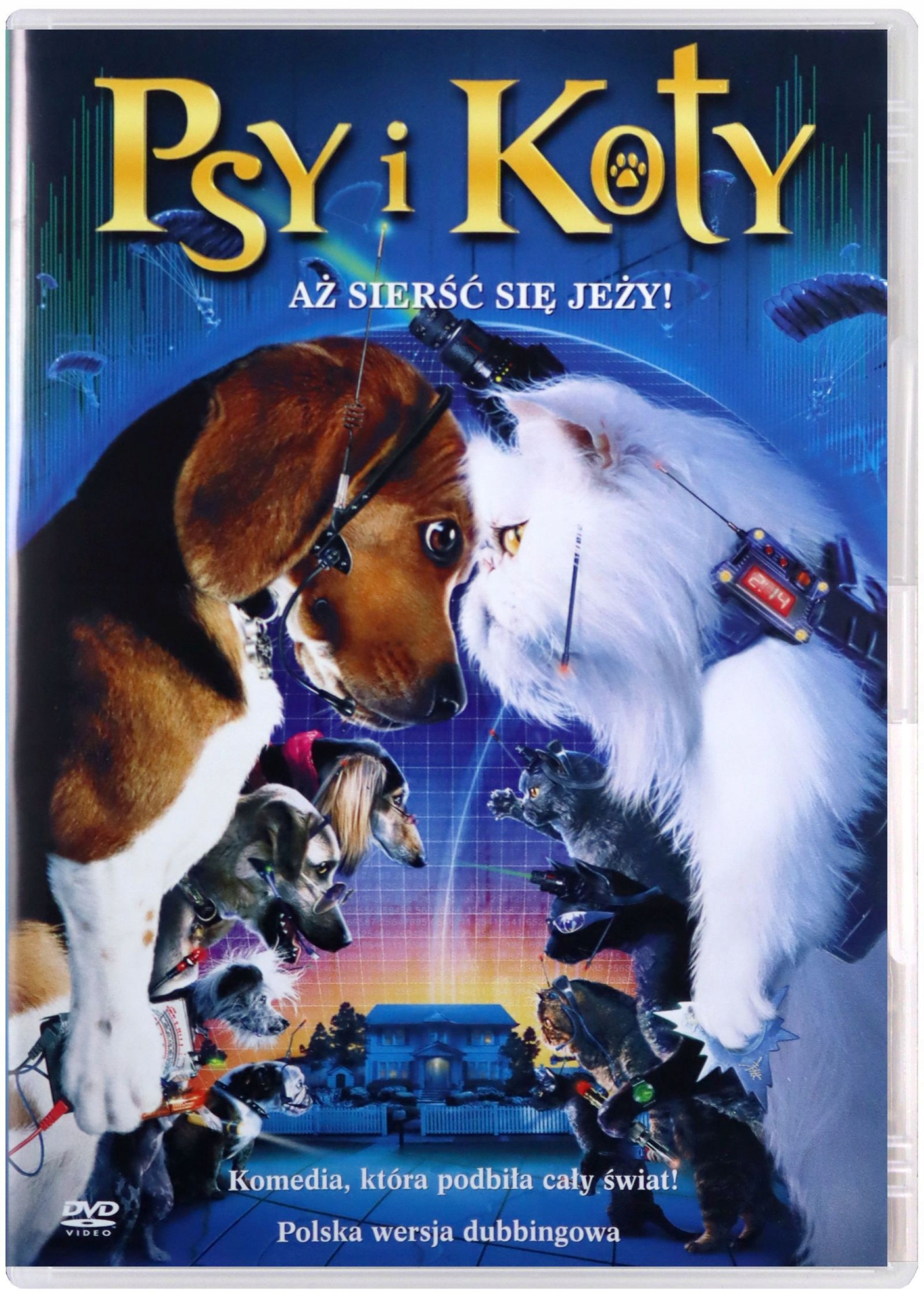 [dvd] Psy i Koty - Niska cena na Allegro.pl