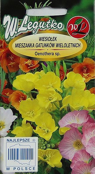 Semena rostlin - největší výběr semínek | Allegro
