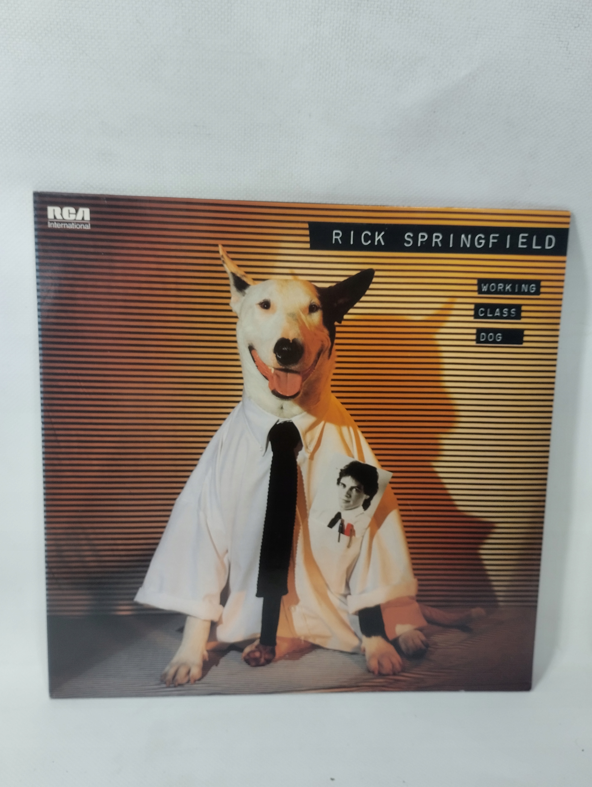 Rick Springfield – Working Class Dog 15305019922 - Sklepy, Opinie, Ceny ...