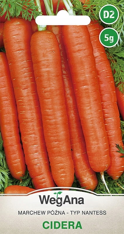 Wegana Nasiona Marchew Jadalna Cidera 5g (5907745980954) • Cena, Opinie ...