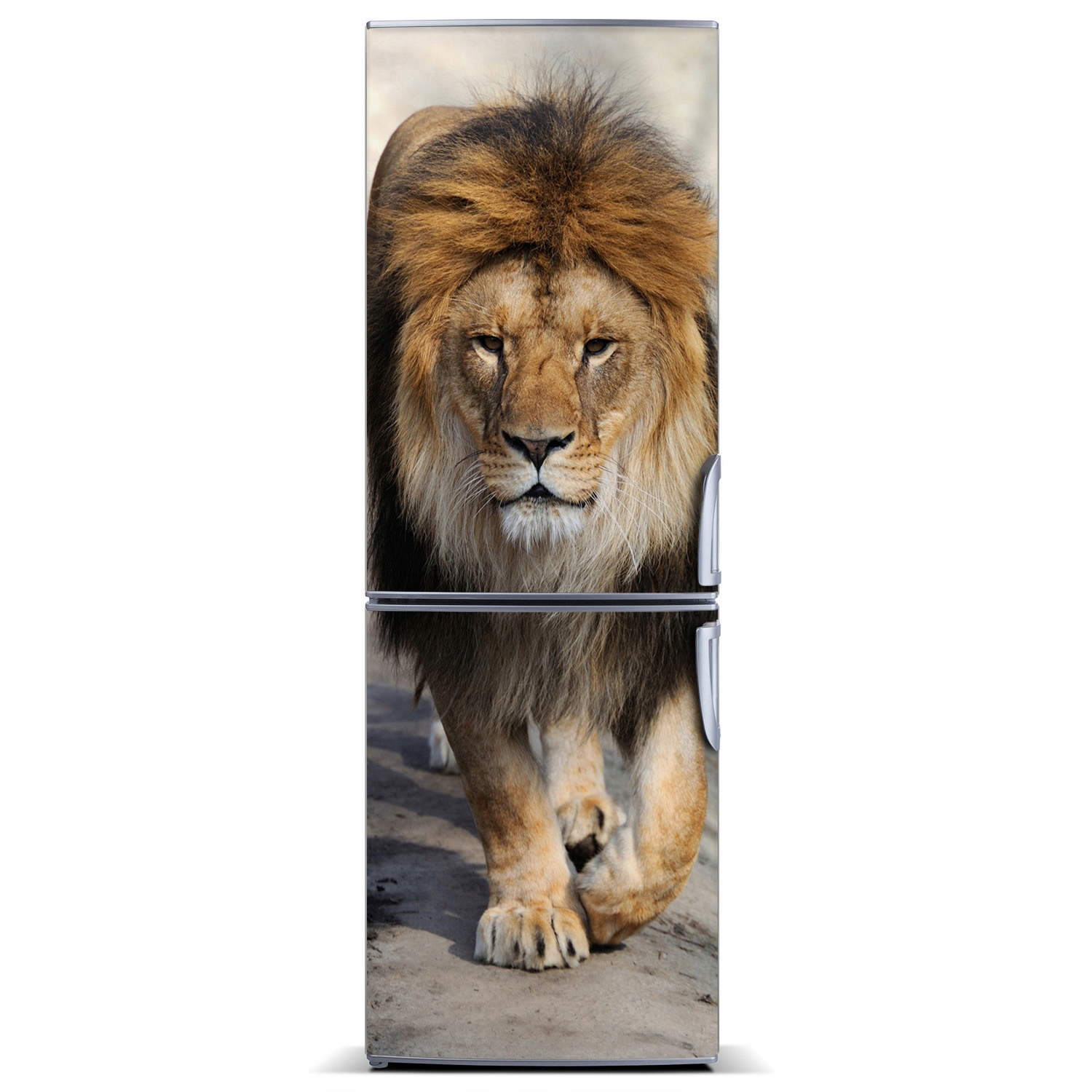 Magnetická samolepka lednice stěna Lev 60x180 - Allegro