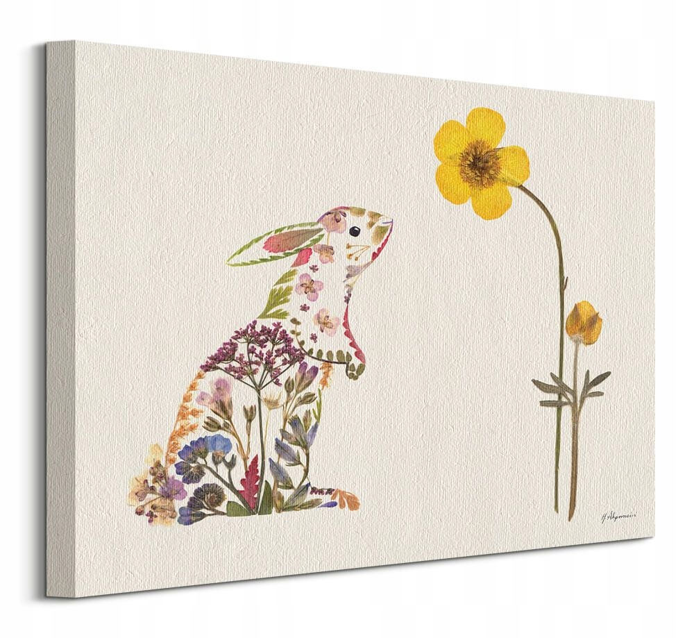 Hello Helen - Niska cena na Allegro