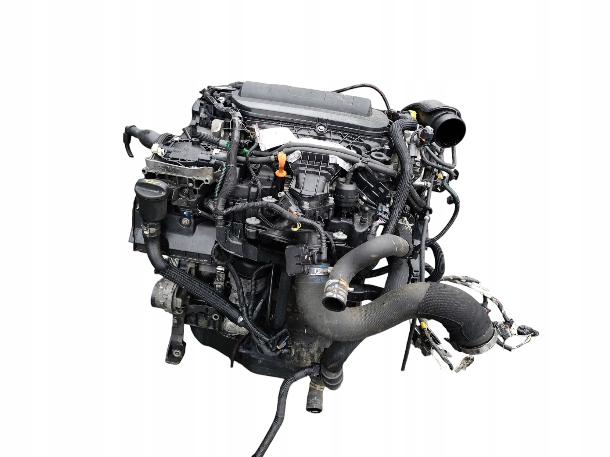 Silnik 2.0 Hdi Rhe - Niska cena na Allegro