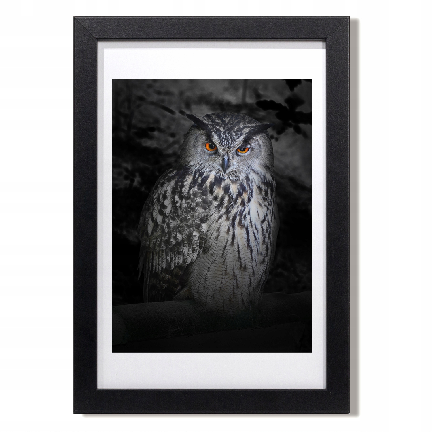 Falikép MDF keret Bagoly madár éjszaka 20x30 cm za 11100.00HUF-ért ...