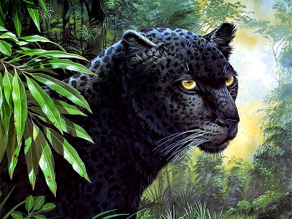 Malowanie Po Numerach KOT Puma Z RAMĄ 40x50 OBRAZ 13615491795 - Allegro.pl