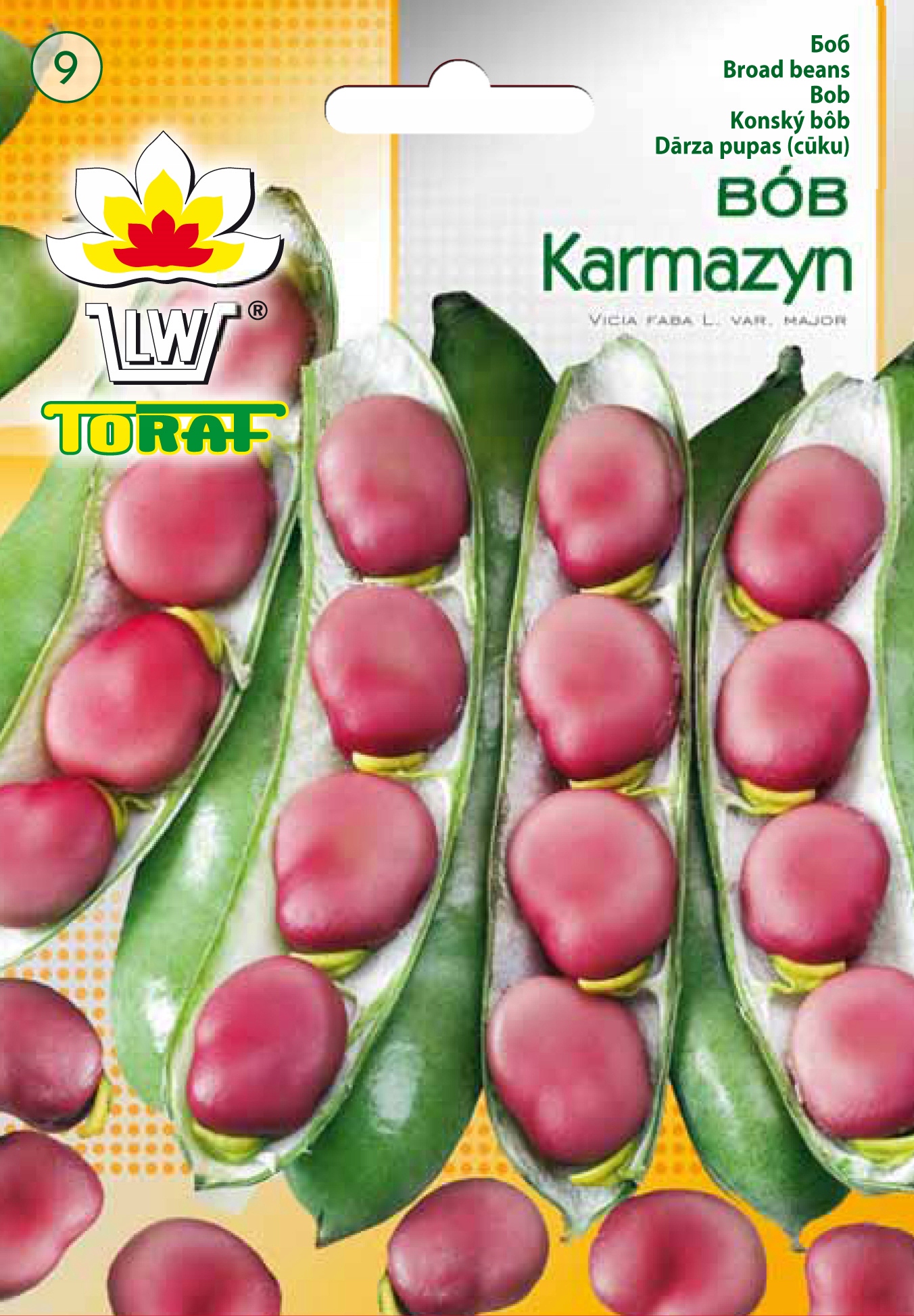 Groch i bób Karmazyn nasiona 30 g - porównaj ceny - Allegro.pl