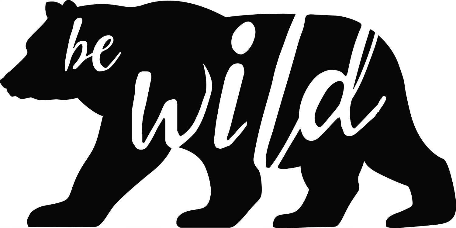 Samolepka na auto KAMPER MEDVĚD karavan 140 cm za 517.00CZK - Allegro