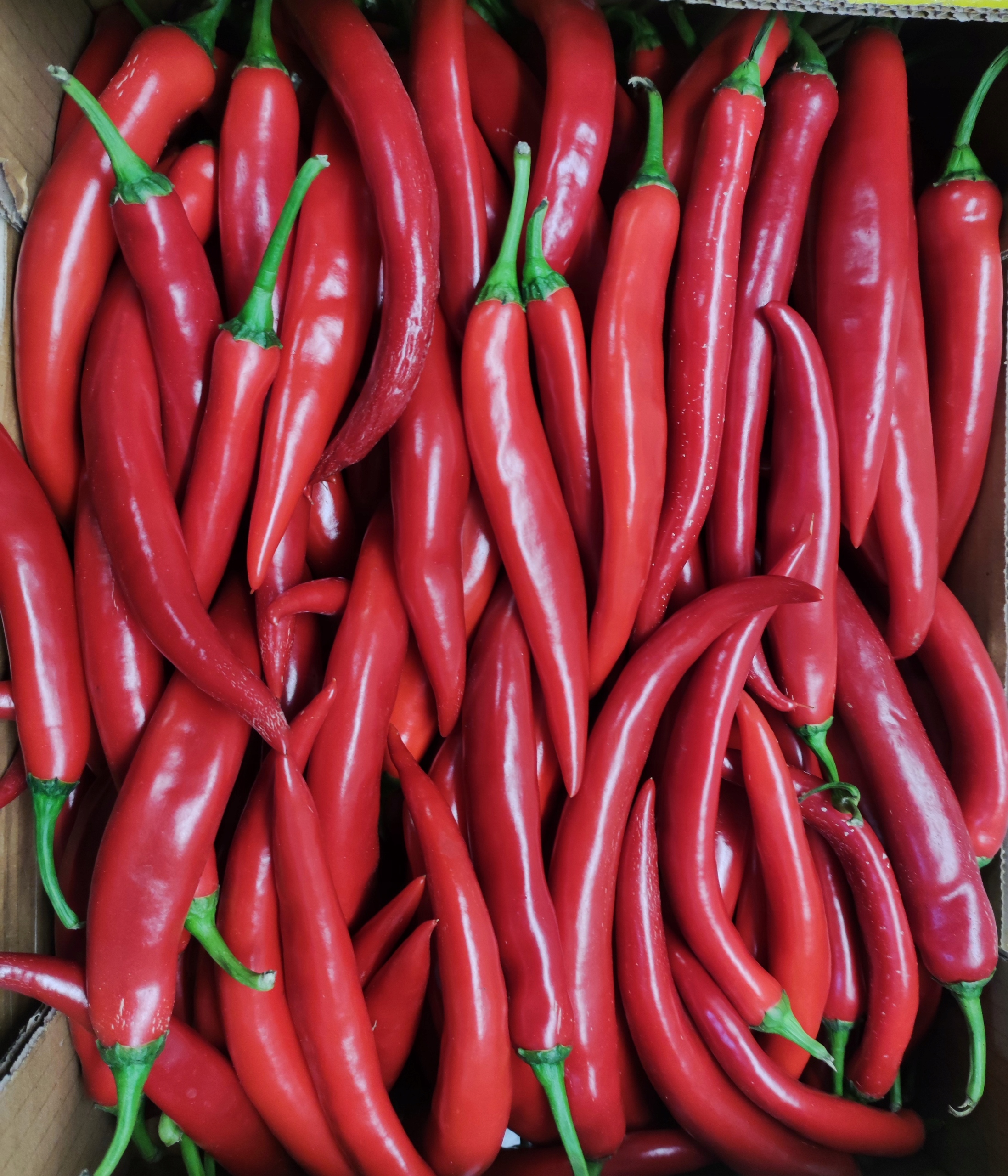 Papryczki Chili - Niska cena na Allegro.pl