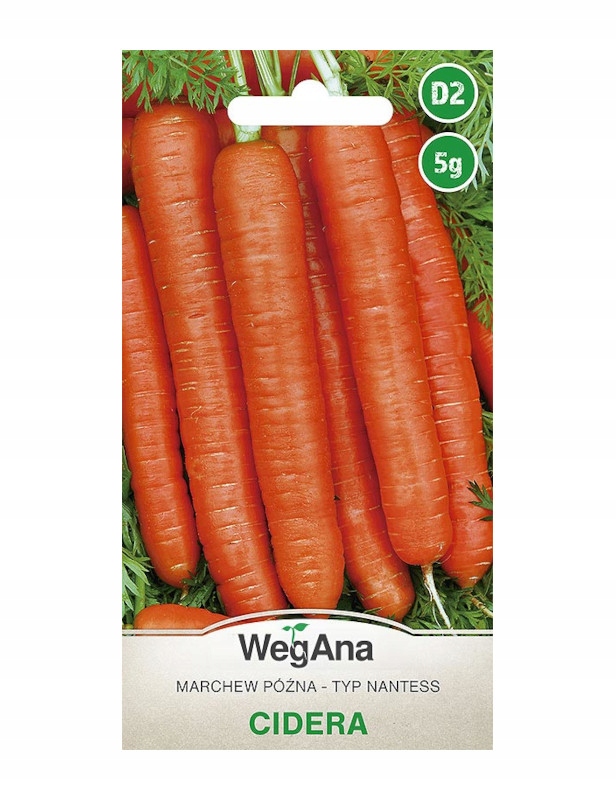 Wegana Nasiona Marchew Jadalna Cidera 5g (5907745980954) • Cena, Opinie ...