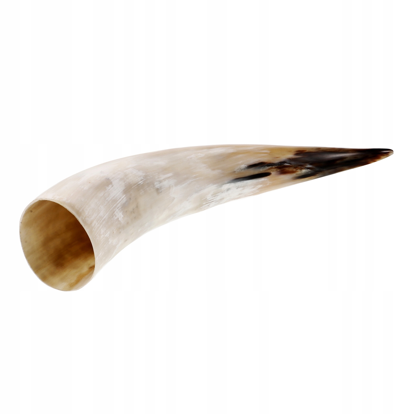 Rogi Krowy - Niska cena na Allegro