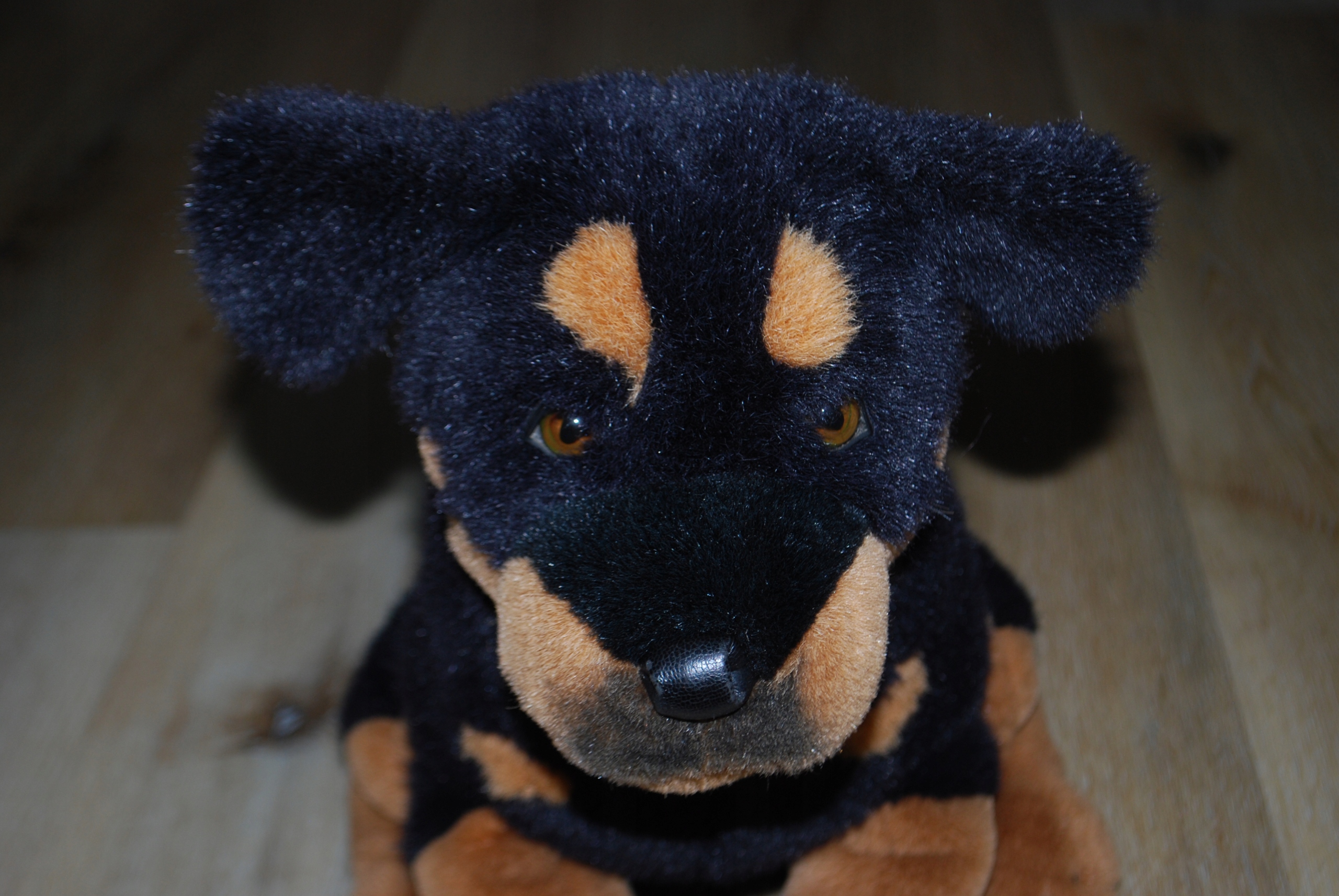 pluszak maskotka pies piesek szczeniak Rottweiler? 13642054585 - Allegro.pl