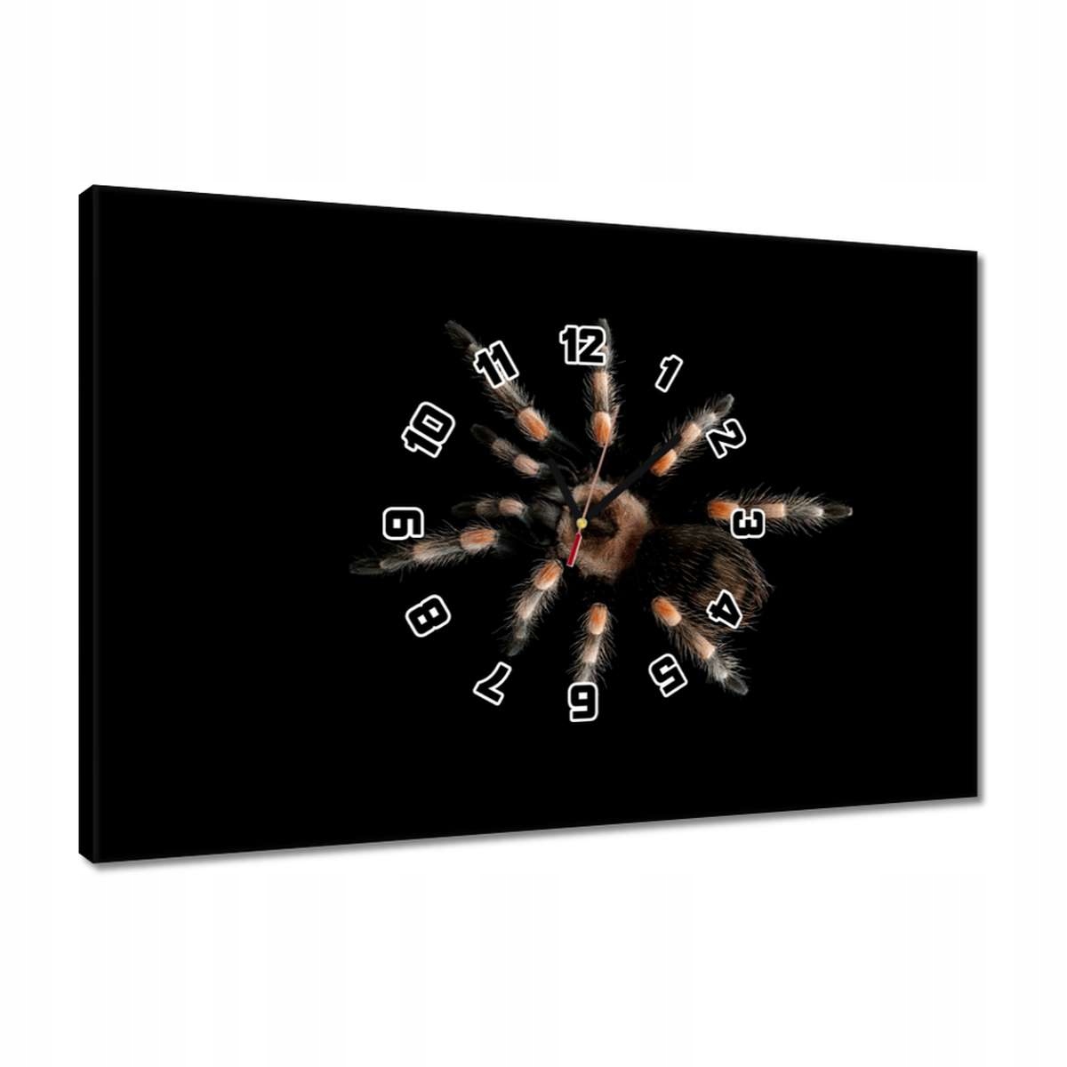 Hodiny 60x40 Veľká Tarantula pavúk, • Ceny, Recenzie - Allegro