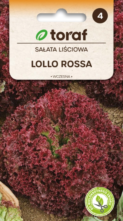 SAŁATA LIŚCIOWA LOLLO ROSA do dekoracji i sałat • Cena, Opinie ...