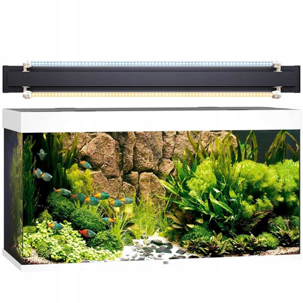 Juwel Rio 350 LED jasne drewno - akwarium • Cena, Opinie - Allegro