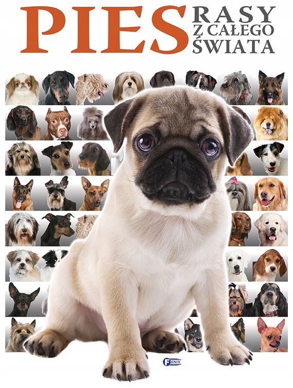 Pies Rasy z całego świata (13372178400) | Książka Allegro