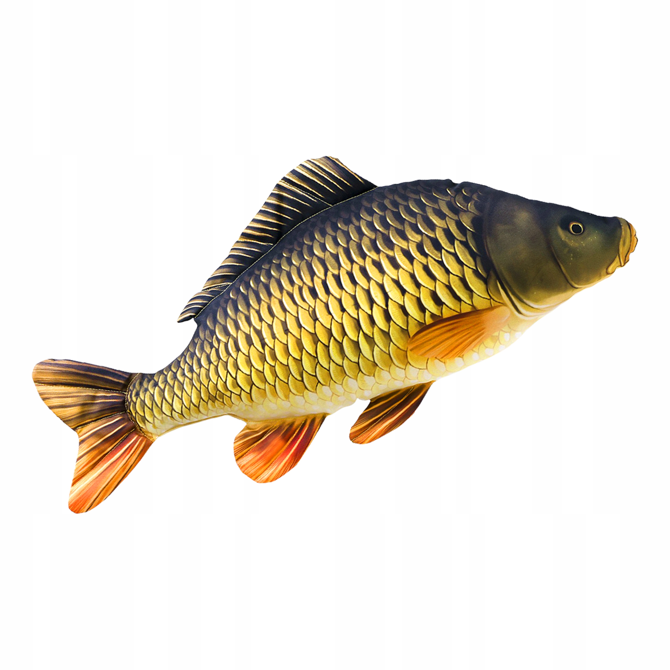 Poduszka ryba GABY maskotka KARP PEŁNOŁUSKI 160cm (5905279175402 ...