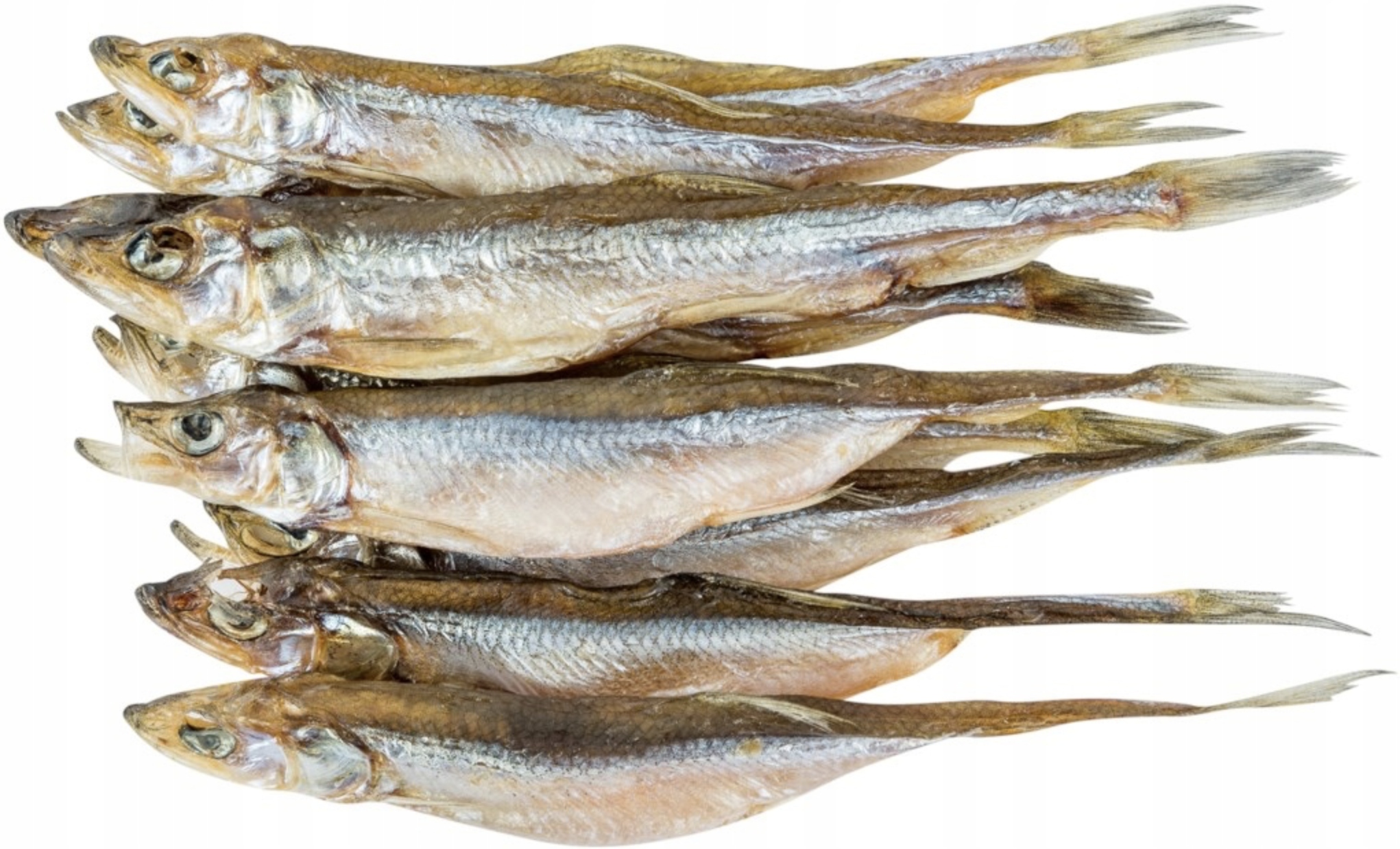 Stynka Ryba - Niska cena na Allegro