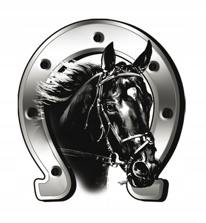 NAKLEJKI NAKLEJKA MOTOCYKLOWA KOŃ KONIK PODKOWA 5901256240255 za 11 ...