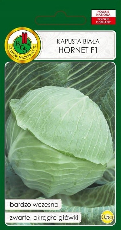 Hornet F1 - Niska cena na Allegro