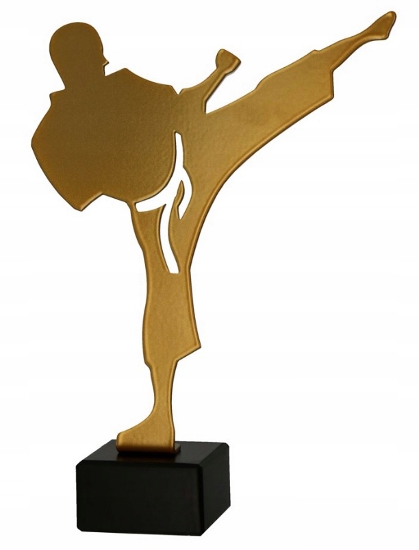 STATUETKA FIGURKA METALOWA KARATE 21cm GRAWER - 5905505615566 ...