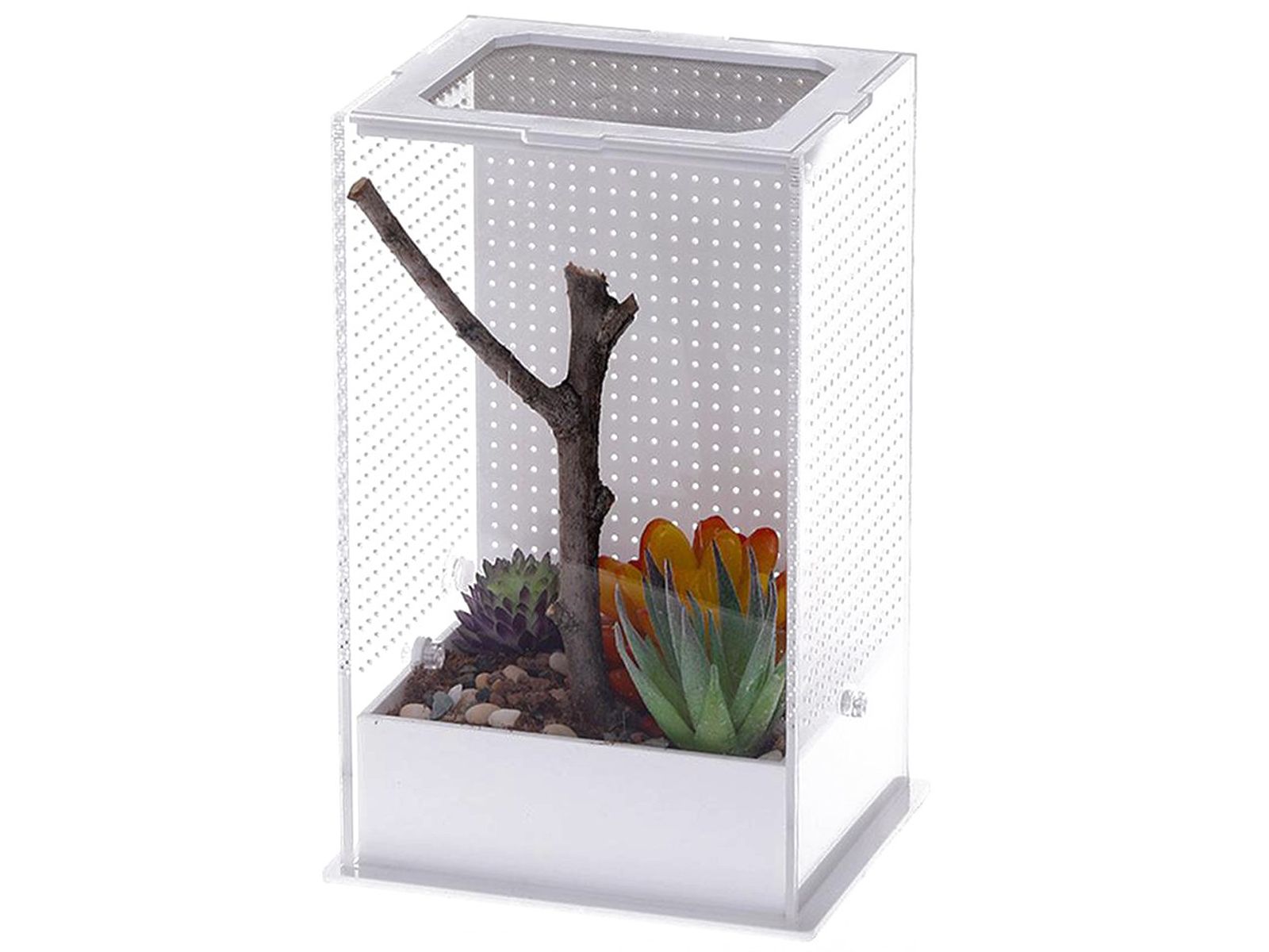 Terrarium akrylowe pojemnik dla modliszki 12x10x20 Mantis Box L Repti ...