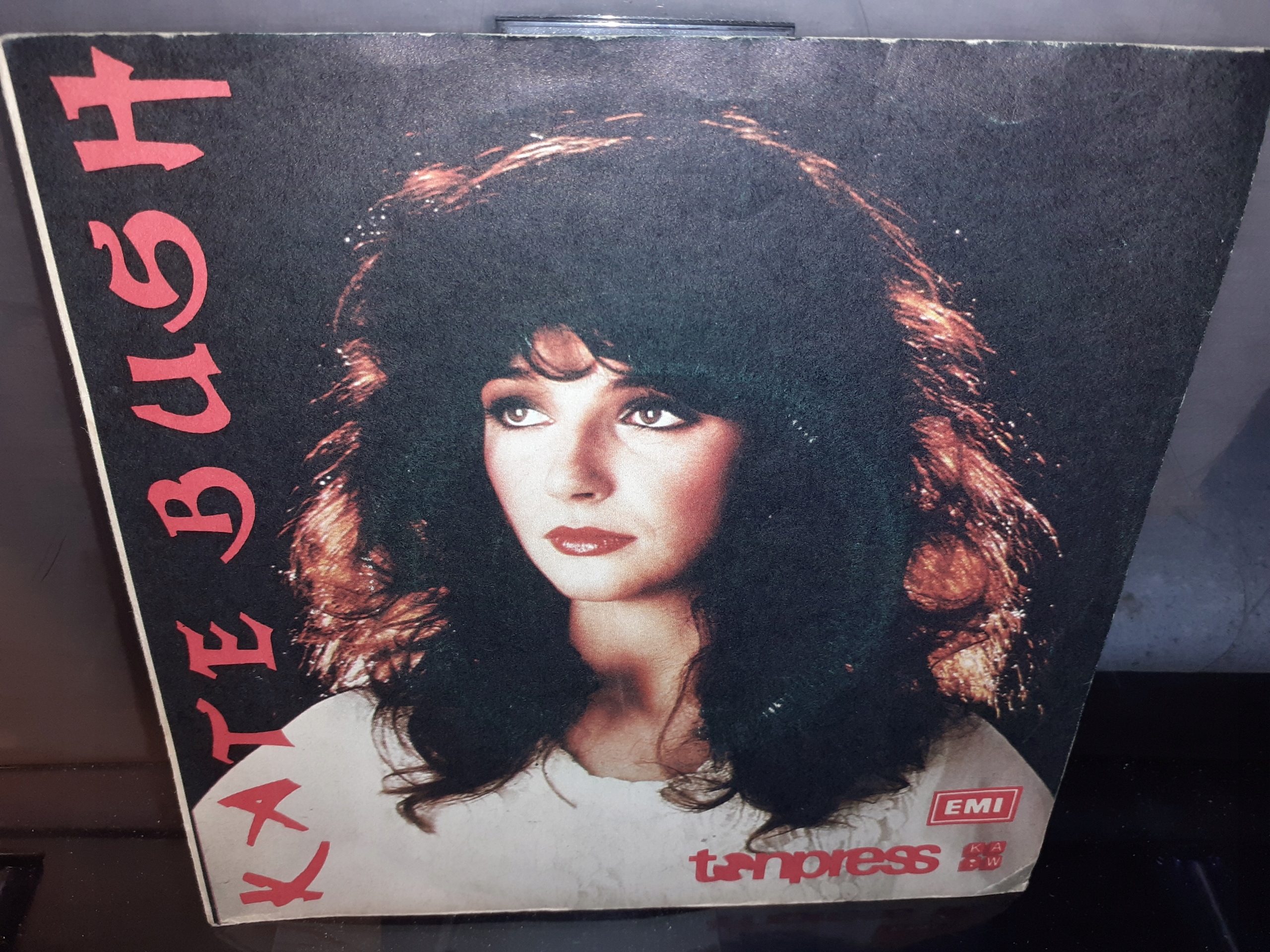 Kate Bush – The Man With The Child 7'' S-171 EX 18000007584 - Sklepy ...