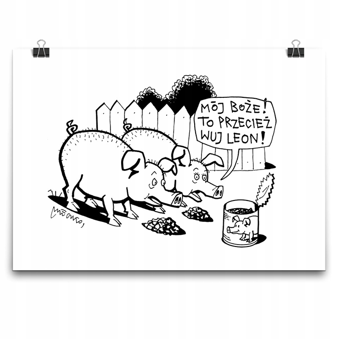 Zdjęcie Andrzej Mleczko, śmieszne 42 x 29,7 cm (59075820) • Cena ...