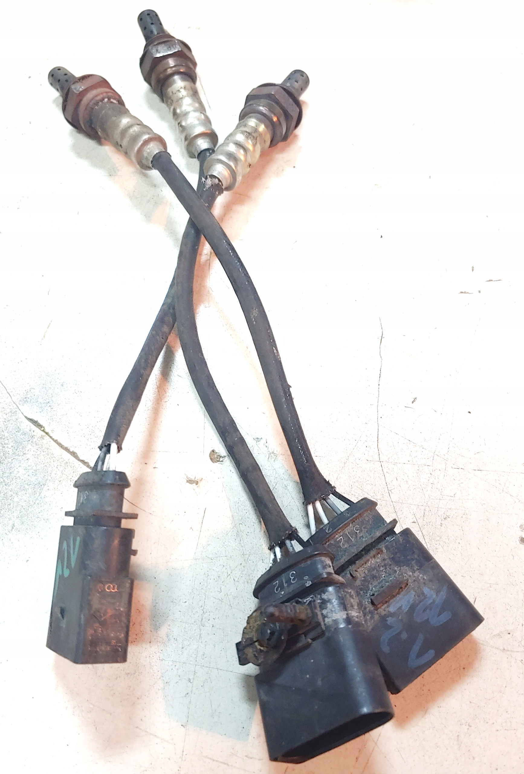 Sonda lambda Vw Seat Skoda 1.2 6V 1.2 12V 02- za 39.51PLN z Jelenia Góra - Allegro - (12325890892)