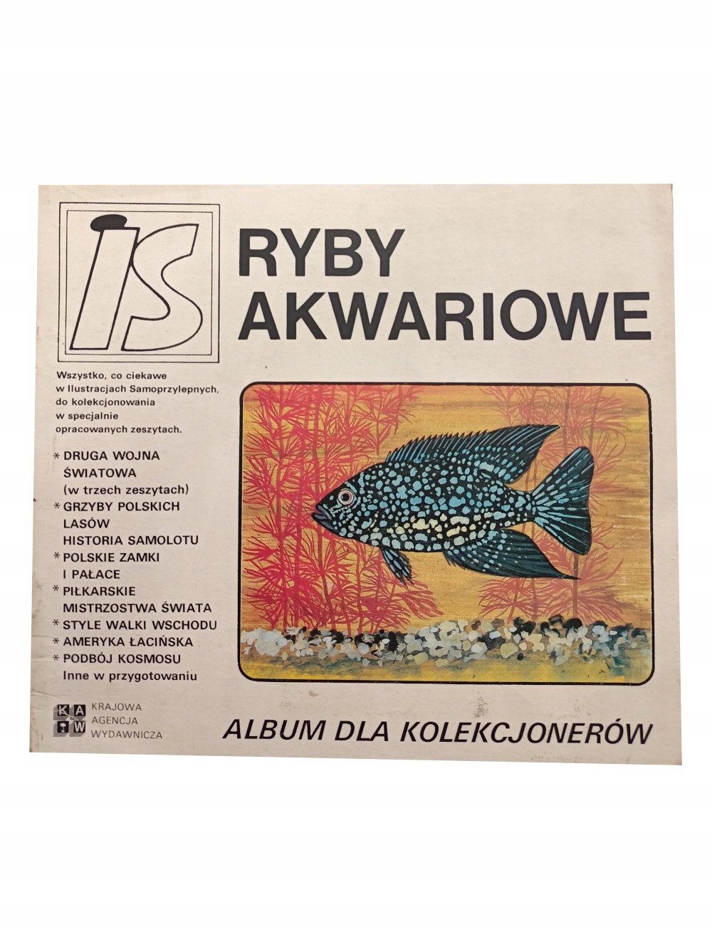 Tropikalne Ryby Akwariowe - Niska cena na Allegro.pl