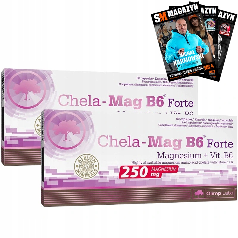 OLIMP CHELA MAG B6 FORTE 120KAP MAGNEZ NA MIĘŚNIE (5901330022685 ...