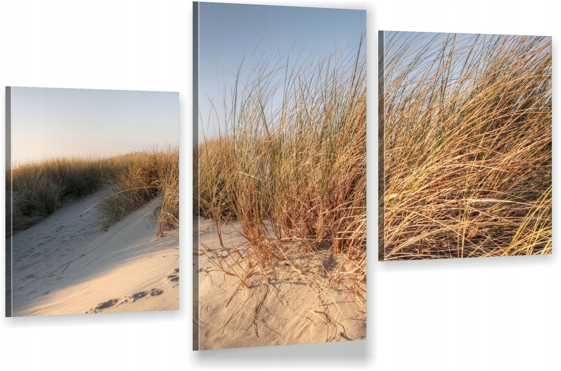 TRIPTYK OBRAZ NA ZEĎ tráva pláž duna moře za 729.00CZK - Allegro