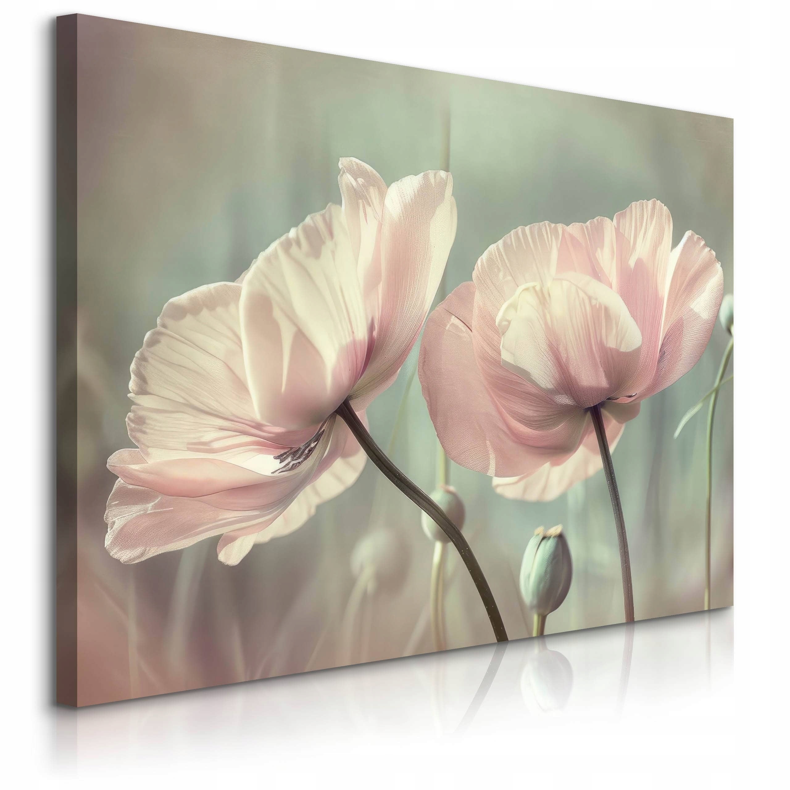 OBRAZ NA PLÁTNE BIELE TULIPÁNY KVETY PRÍRODA RASTLINY DO SPÁLNE 70x50 ...