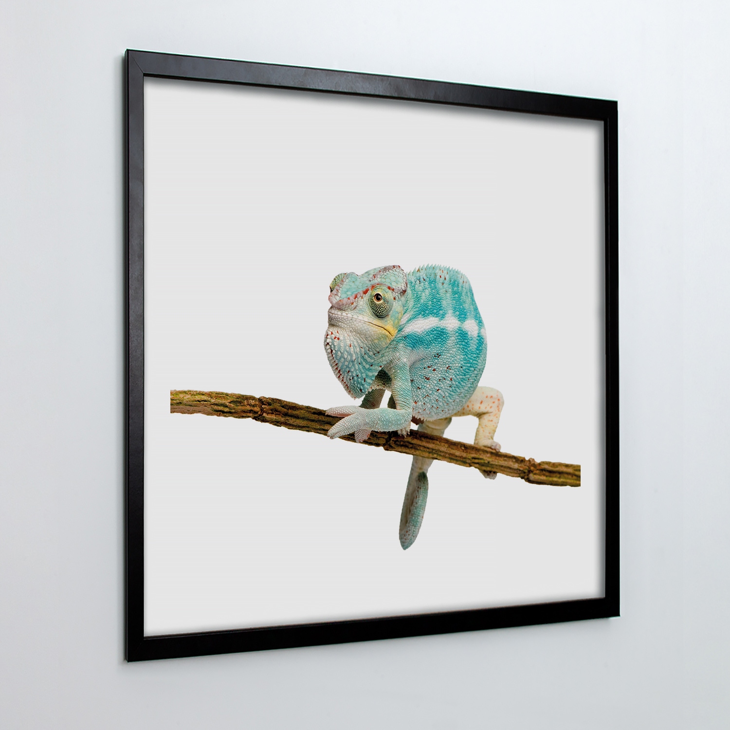 Nástěnný obraz s MDF rámem Chameleon, leopardí vzor, 50x50 cm, • Ceny ...