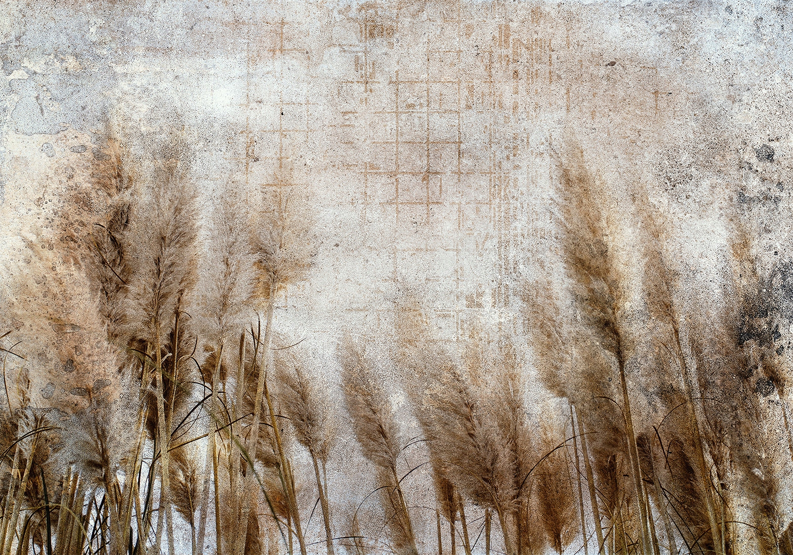 FOTOTAPETA TRAWA NATURA 400x280 b-A-10217-a-a (b-A-10217-a-a_400x280_ft ...