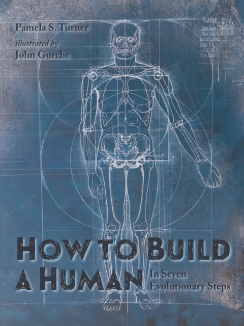 How to Build a Human - Pamela S. Turner (12770040039) | Książka Allegro