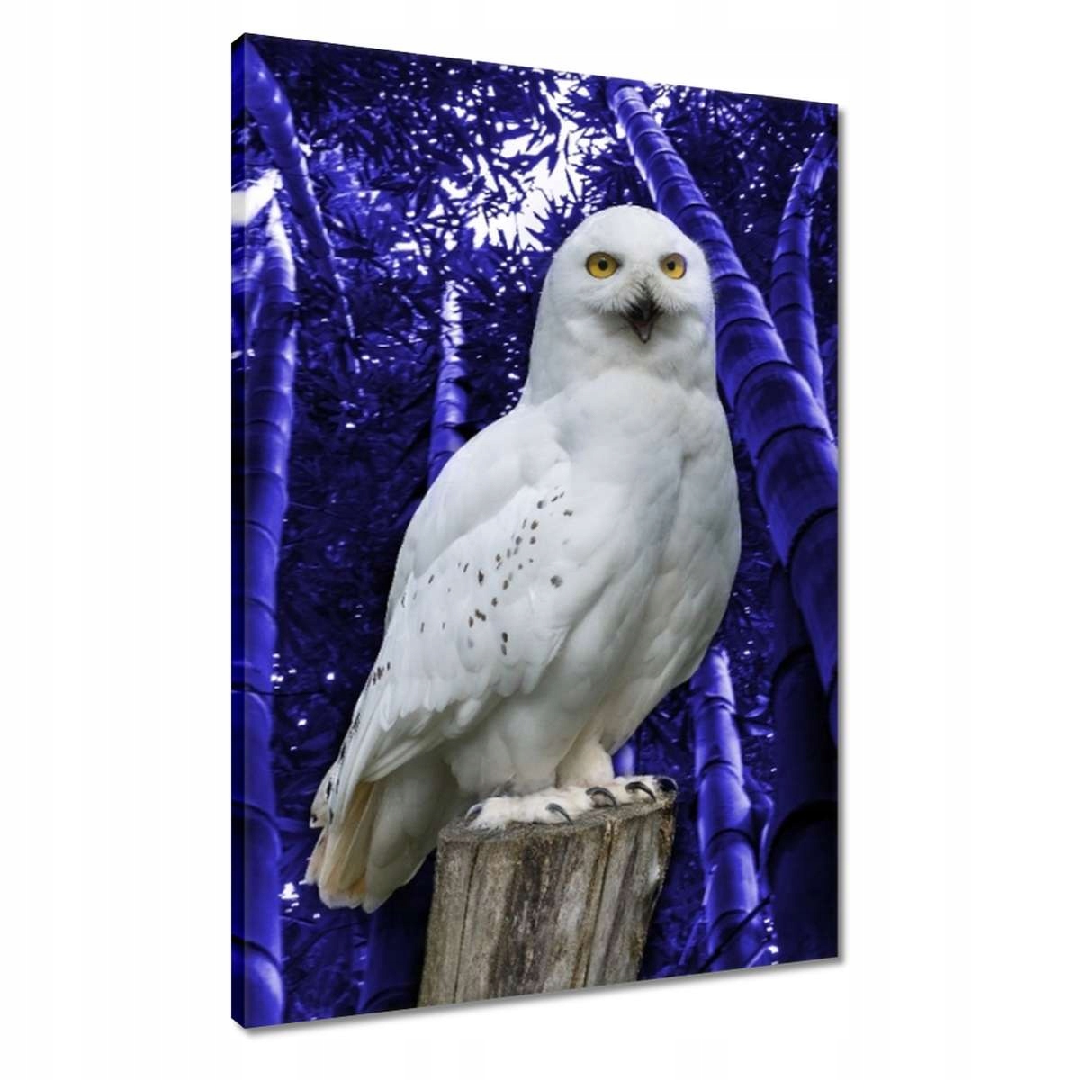 Obrazy 50x70 Łowca na posterunku Sowa • Cena, Opinie • Obrazy ...