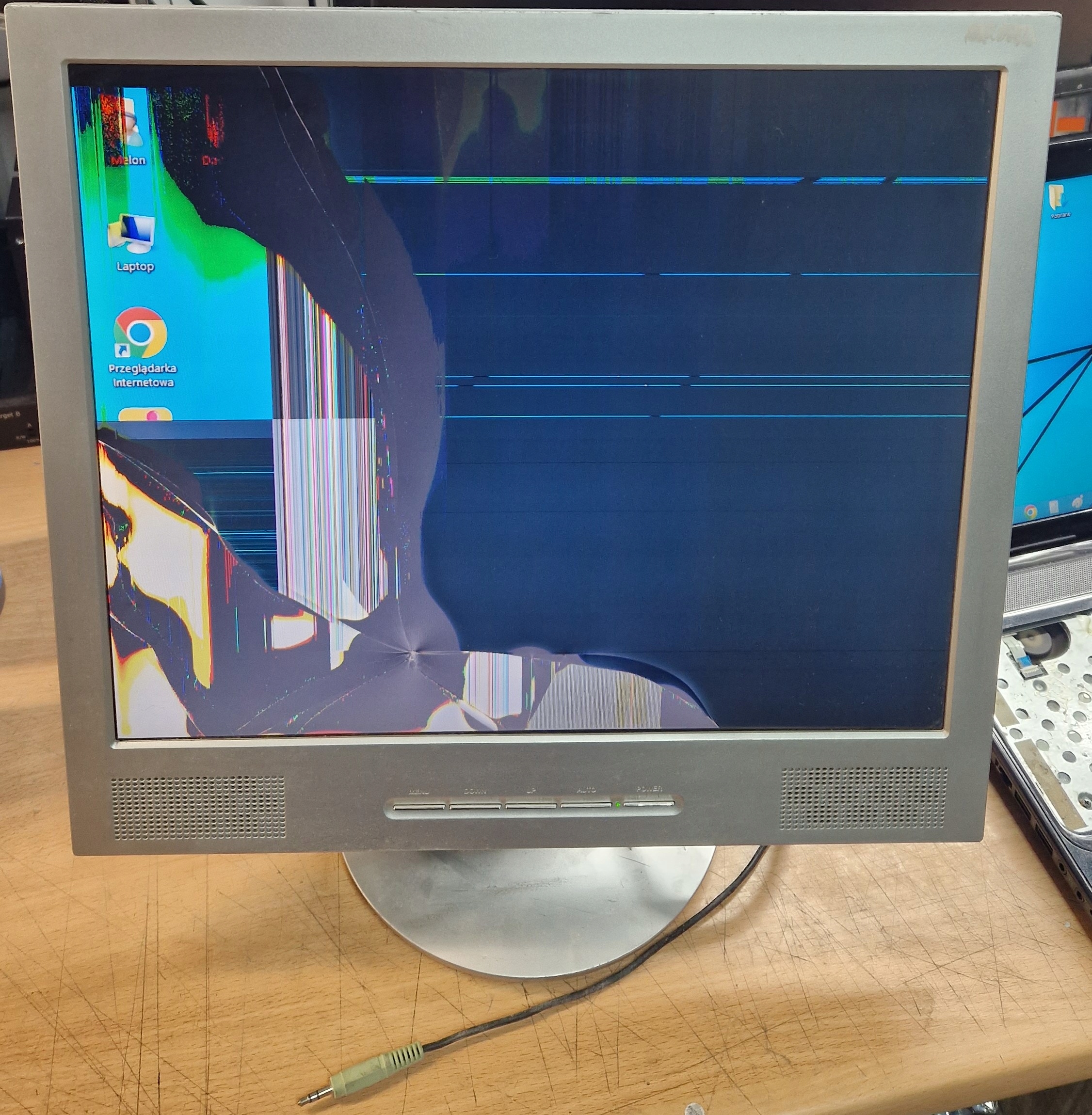 Monitor LCD AOC LM760 17 " 1280 x 1024 px • Cena, Opinie - Allegro