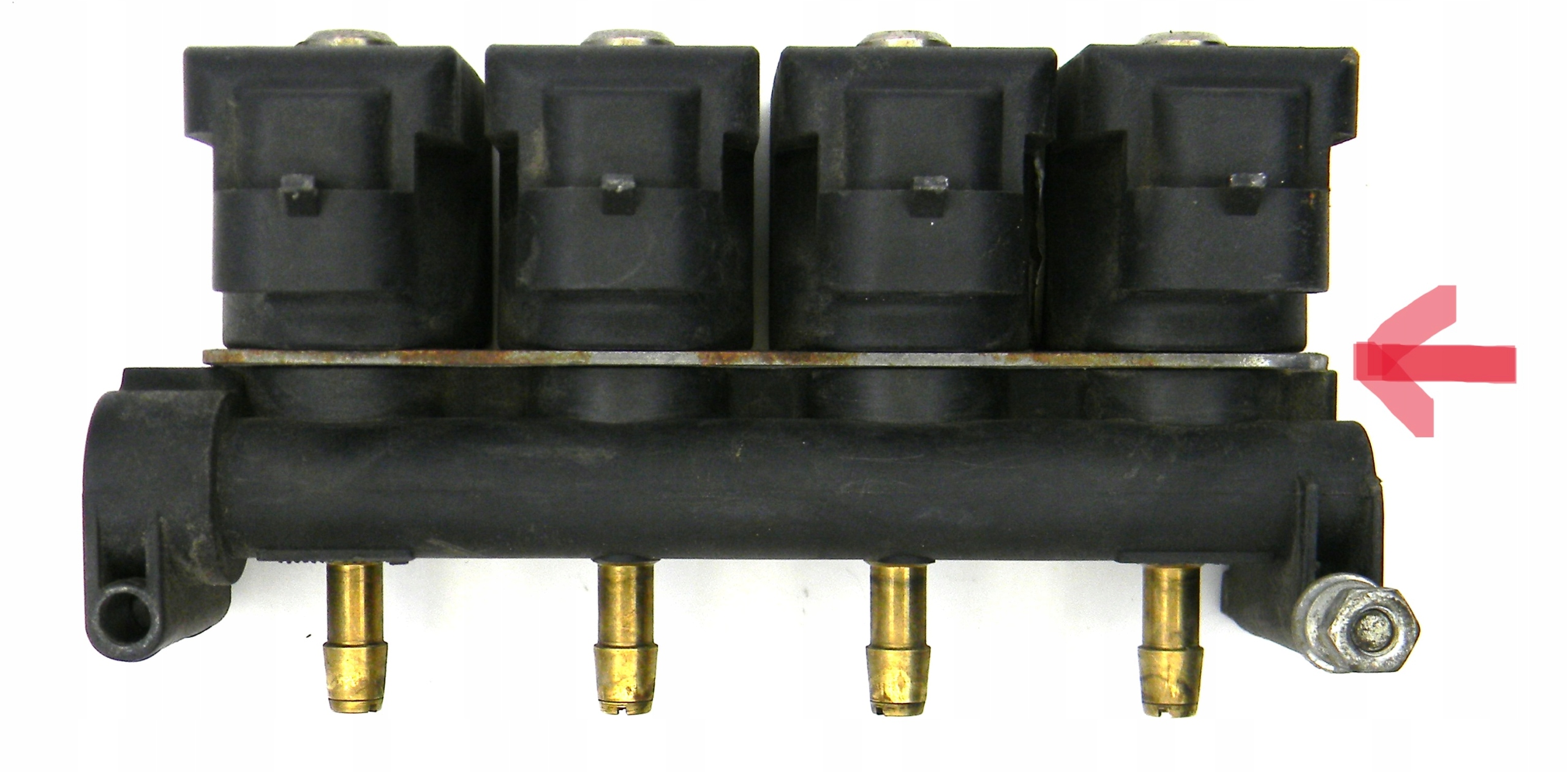 Evo 08 Tartarini - Niska cena na Allegro