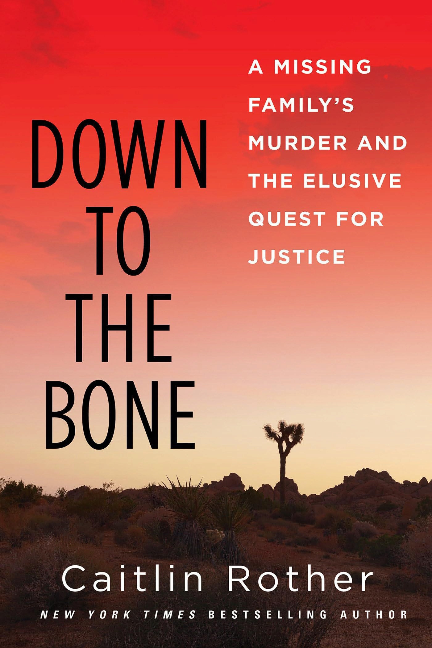 Down to the Bone: A Missing Familys Murder and the Elusive Quest for ...