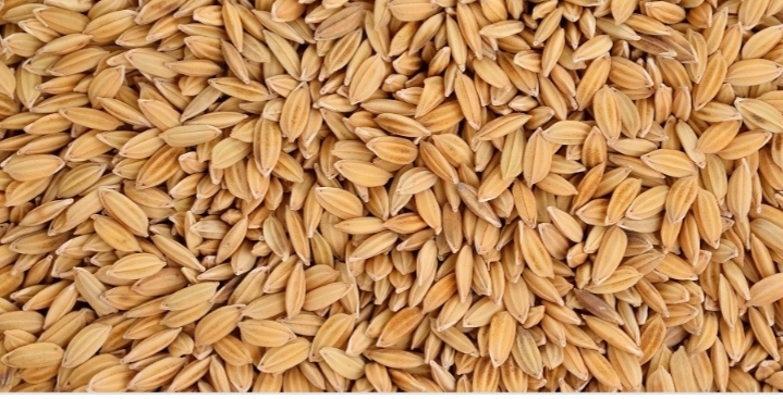 RYŻ PADDY 1 KG | Cena: 5.98PLN | Allegro | TYCHY | Stan: Nowy | ID ...