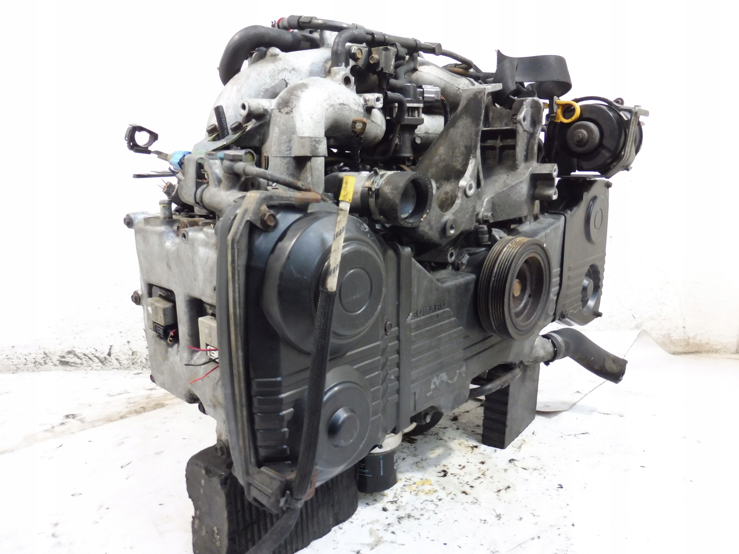 Ej204 - Niska cena na Allegro