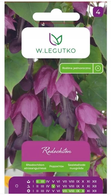 Semena popínavých rostlin za výhodné ceny ️ - Allegro