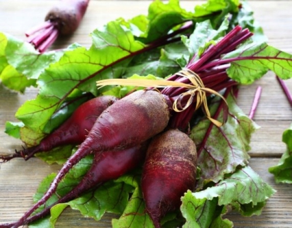 Burak ćwikłowy Lobella II Opolski 5 g (5907653766008) • Cena, Opinie ...