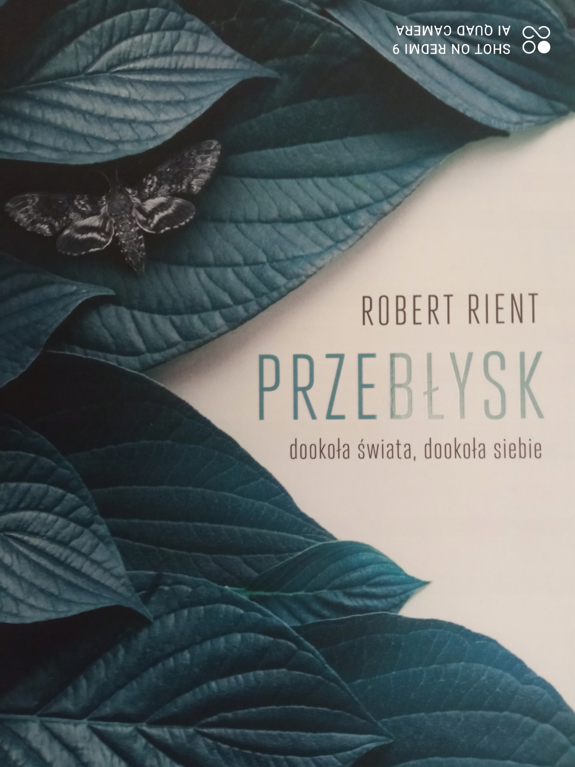 Przebłysk Robert Rient • Cena, Opinie - Allegro
