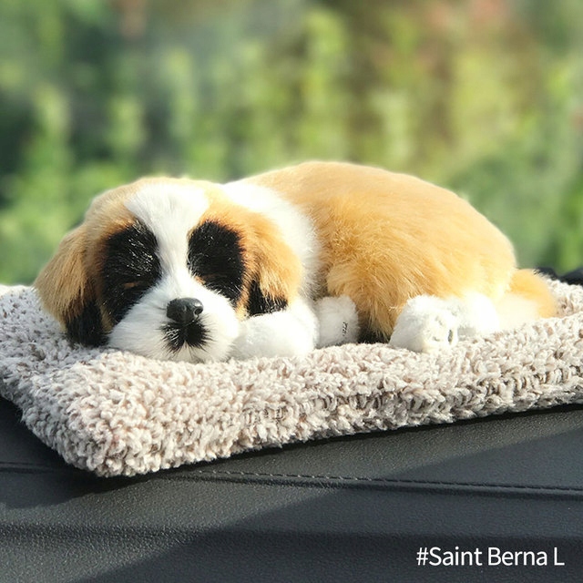 Mini Berni - Niska cena na Allegro.pl