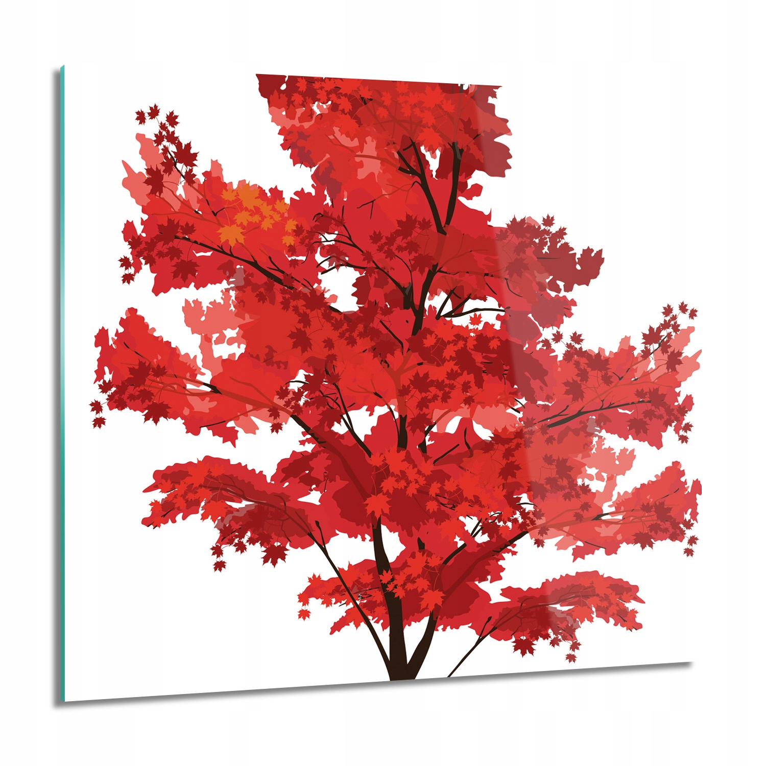 Klon czerwony Obraz szklany ścienny 60x60 grafika • Cena, Opinie ...