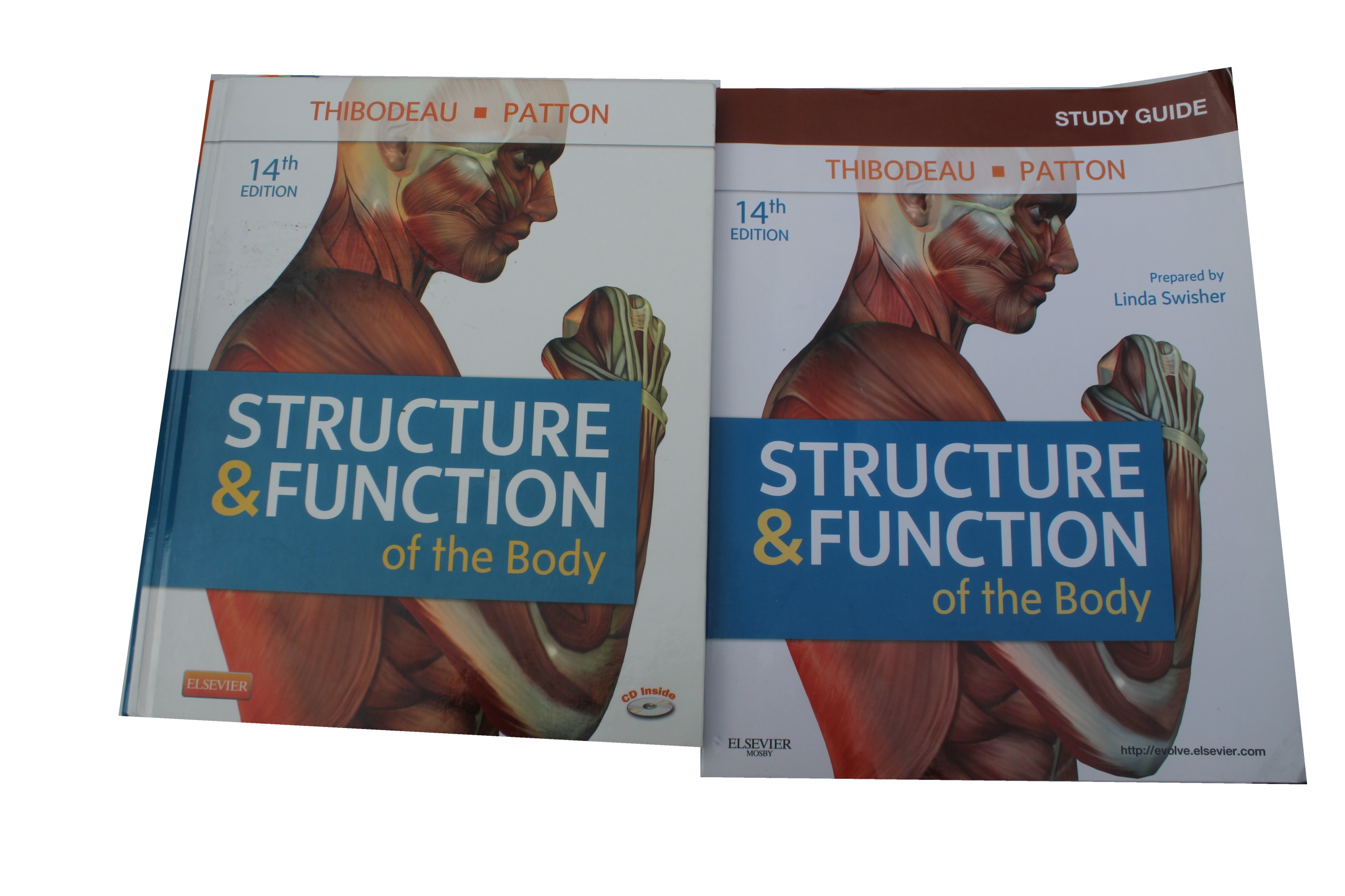 Structure & Function Of The Body 14Th Edition (12443101444) | Książka ...